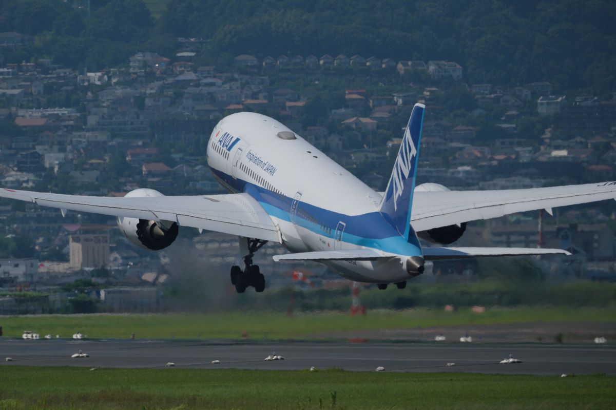 787の背中 | GANREF