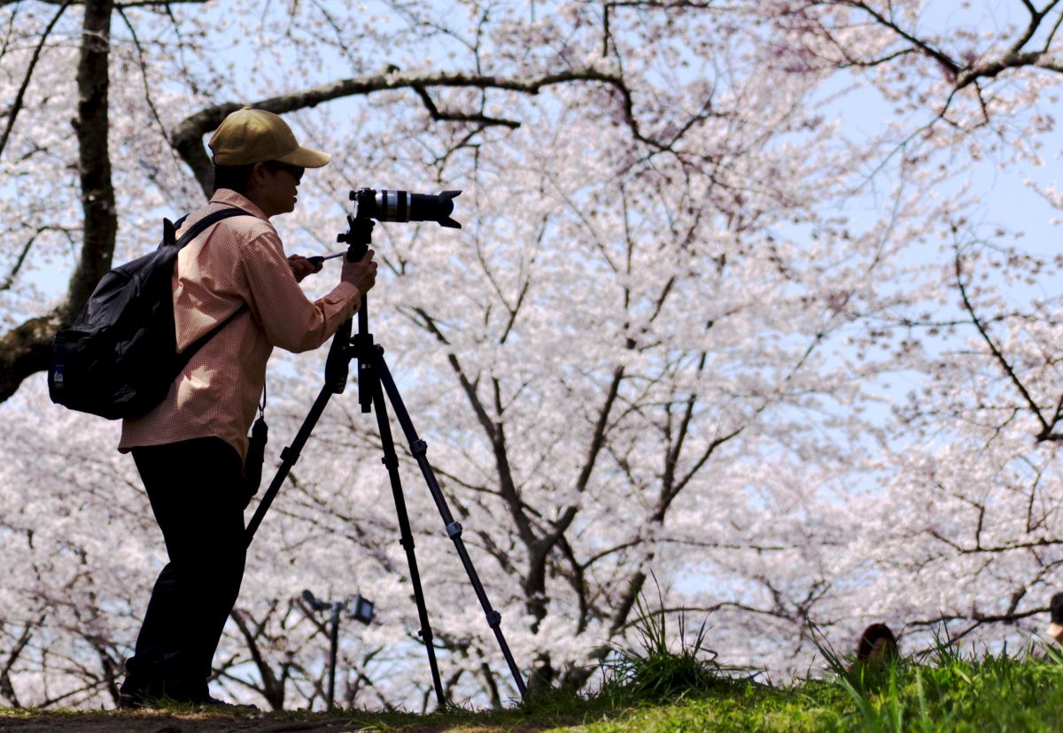 She is photographer【フィールドワーカー】 | GANREF