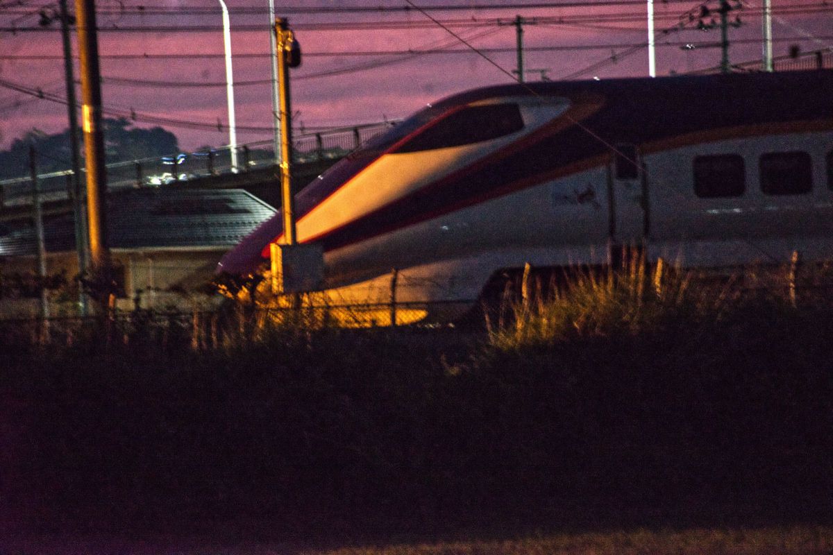 トワイライトトレイン（ZOOM） | GANREF