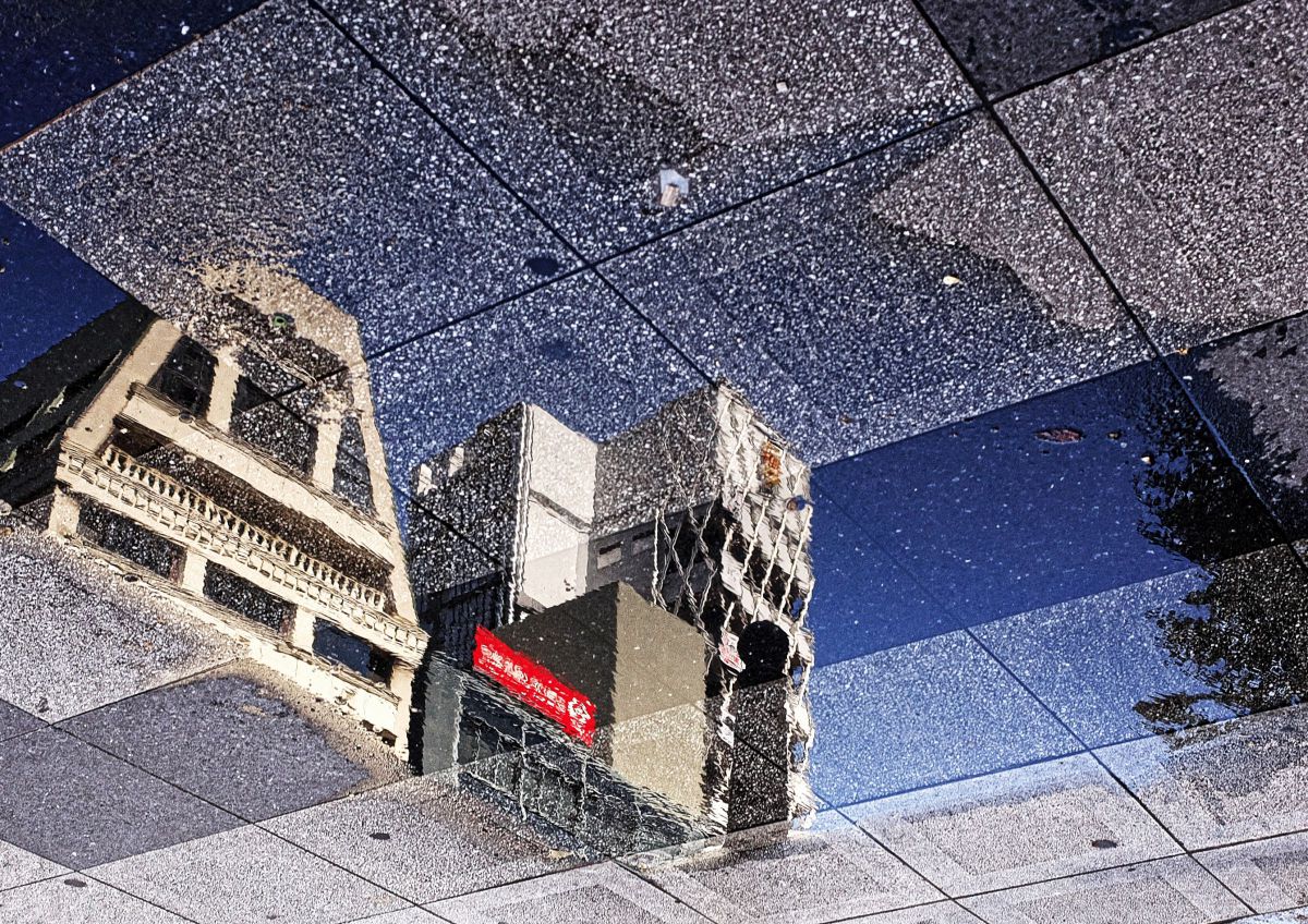 reflection ① | GANREF