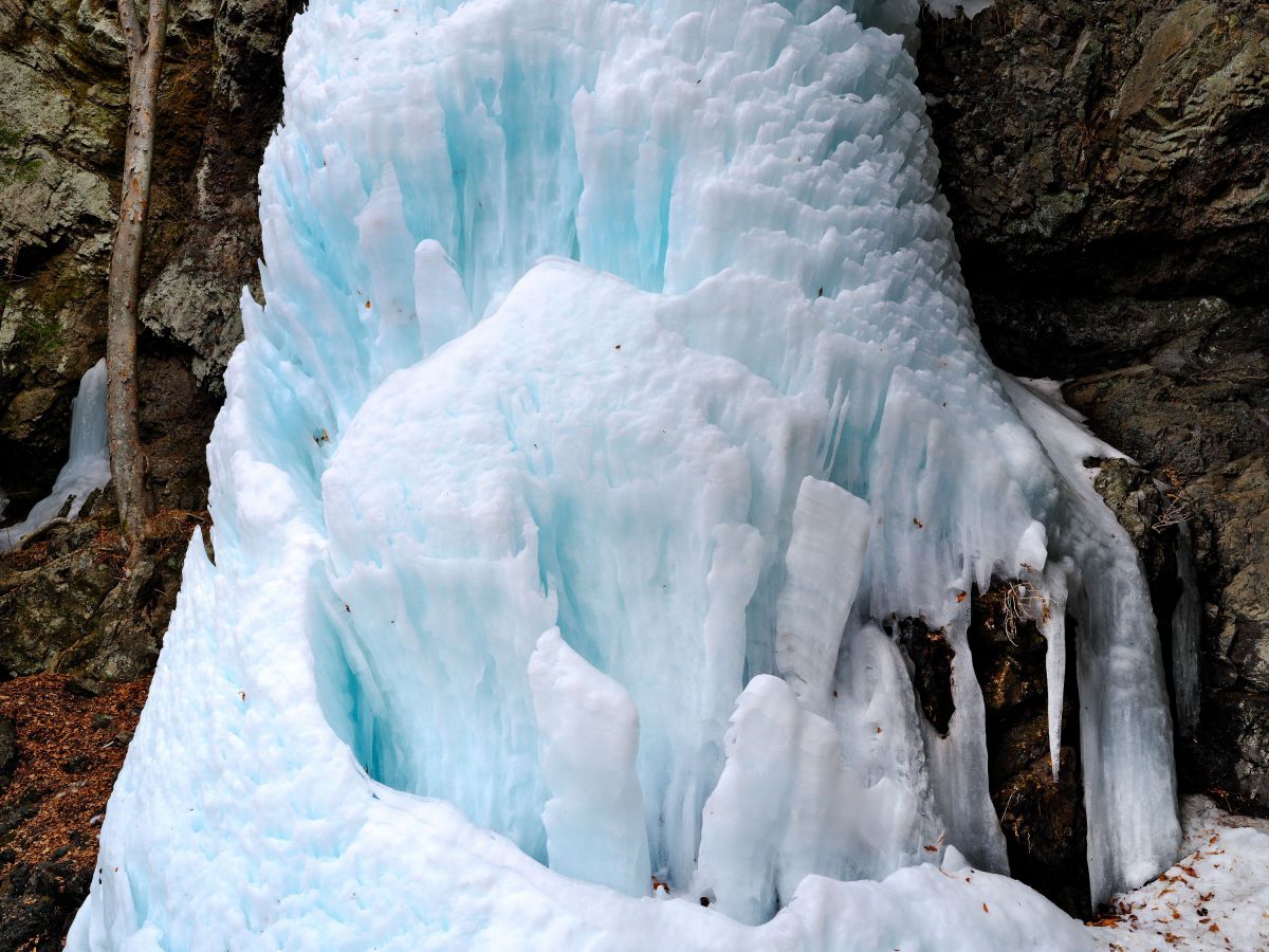 ice monster | GANREF