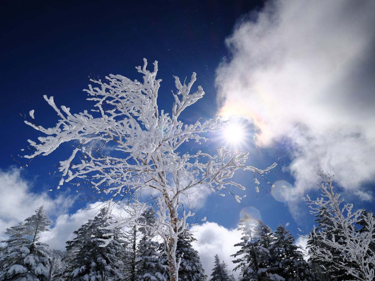 heart best snow | GANREF