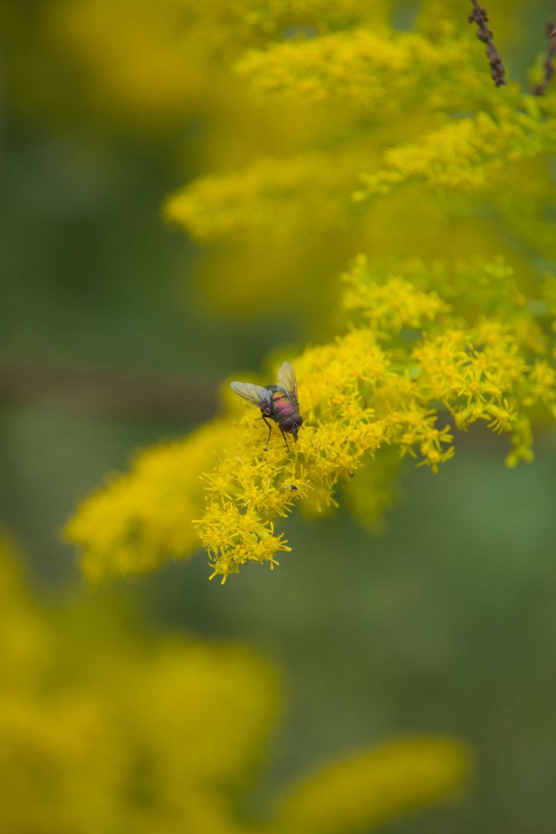 お食事中 | GANREF