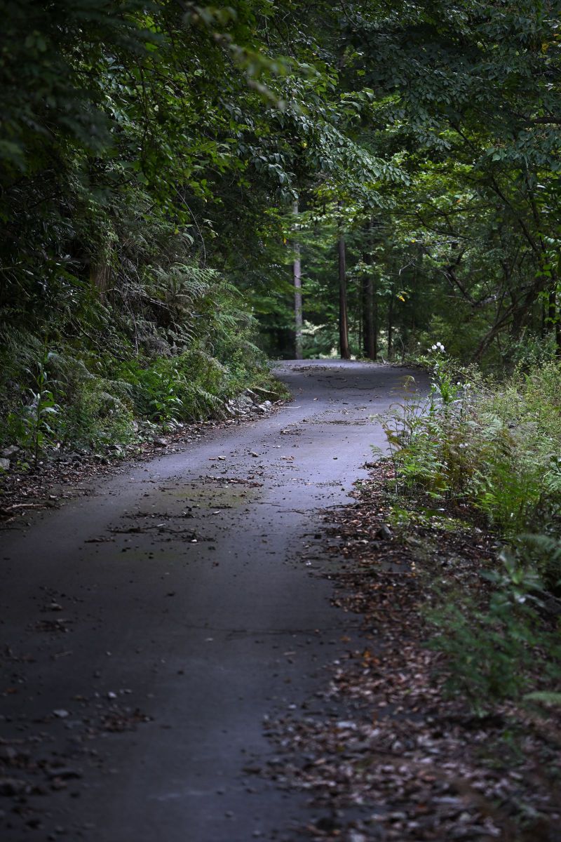 先は長い | GANREF