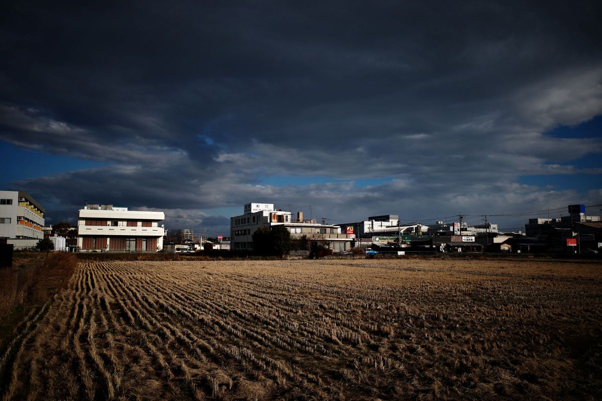 今年は歩くぞー | GANREF