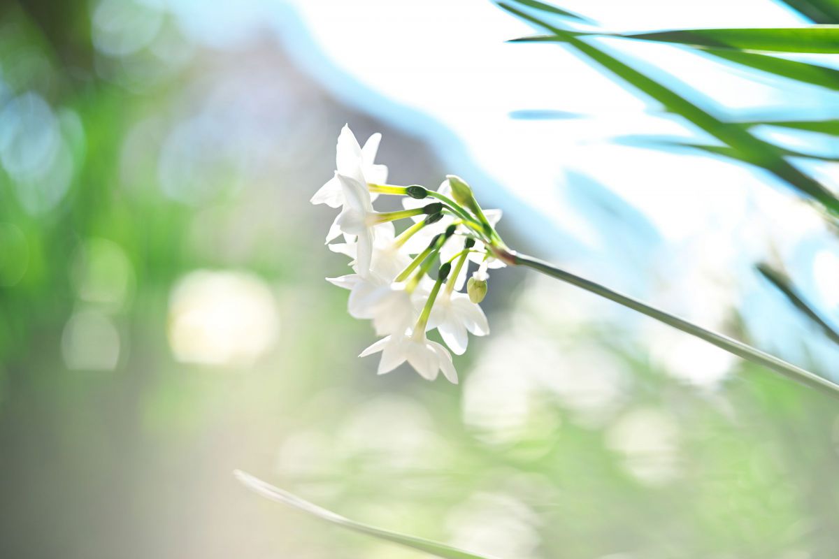 Take me high | GANREF