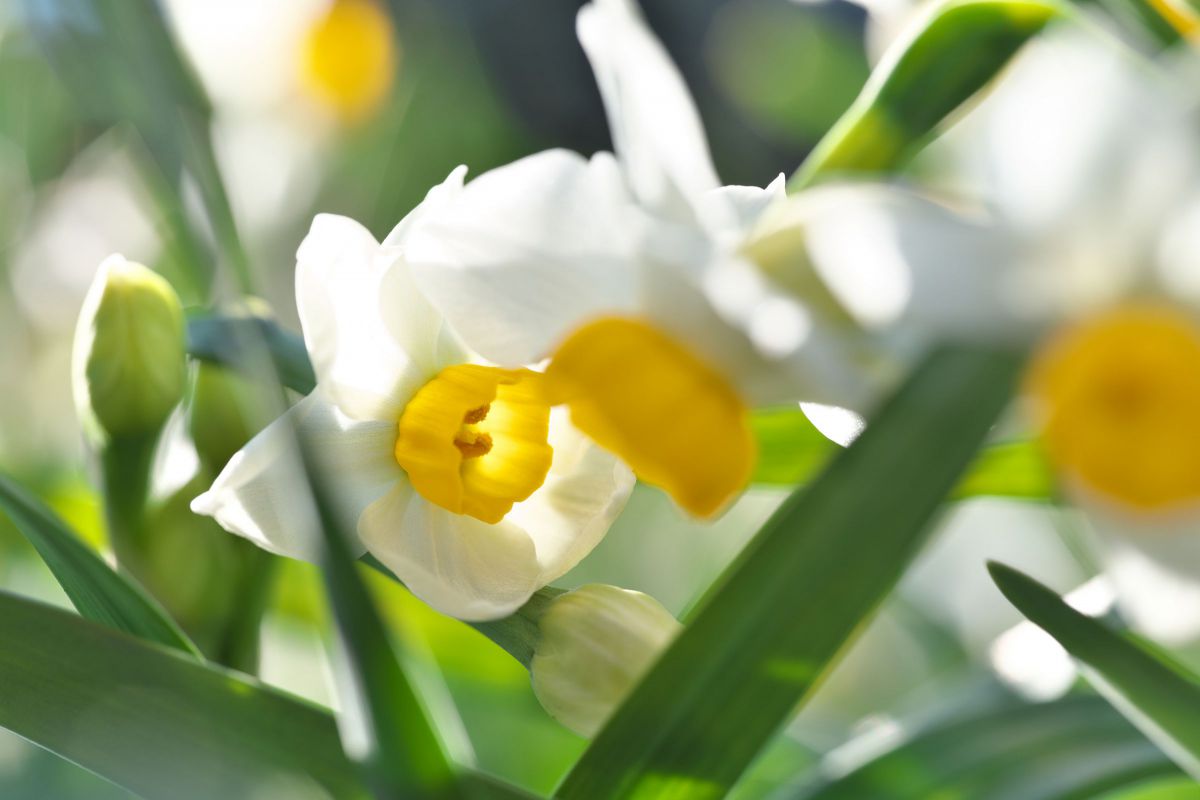 大丈夫、何とかなるさ。 | GANREF