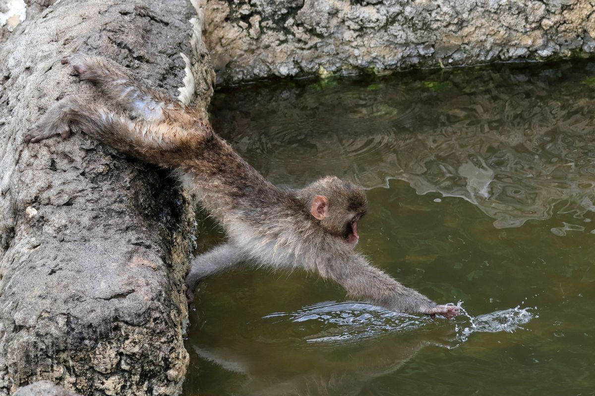 もうちょっと | GANREF