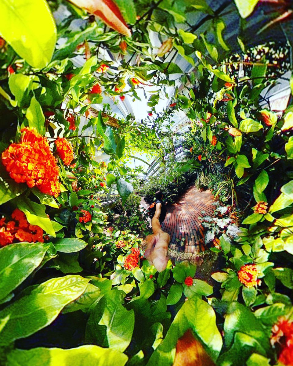 Viva orange range | GANREF