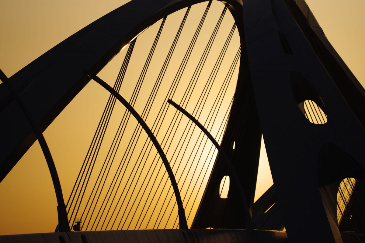 Beautiful Shadow line | GANREF