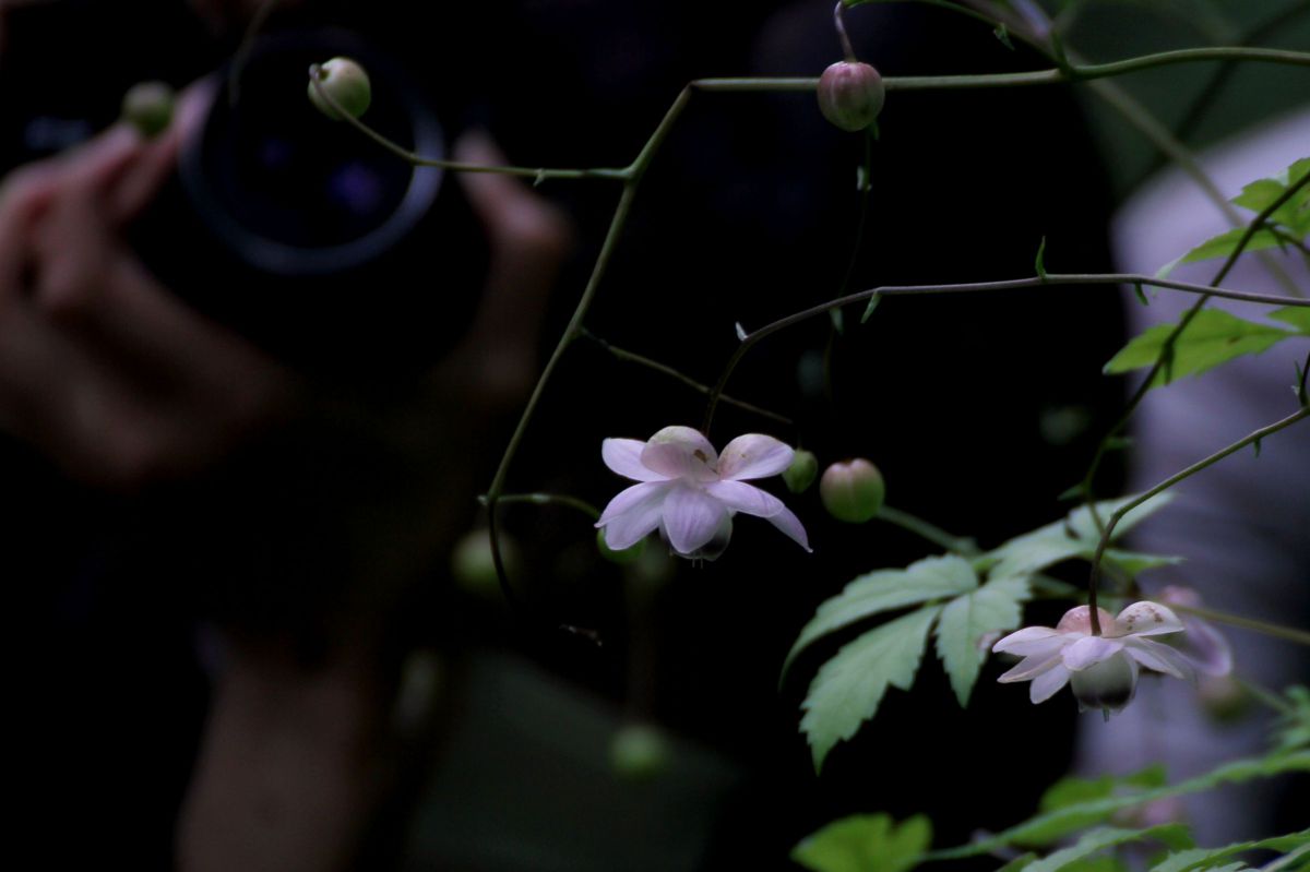 Only you～♪ | GANREF