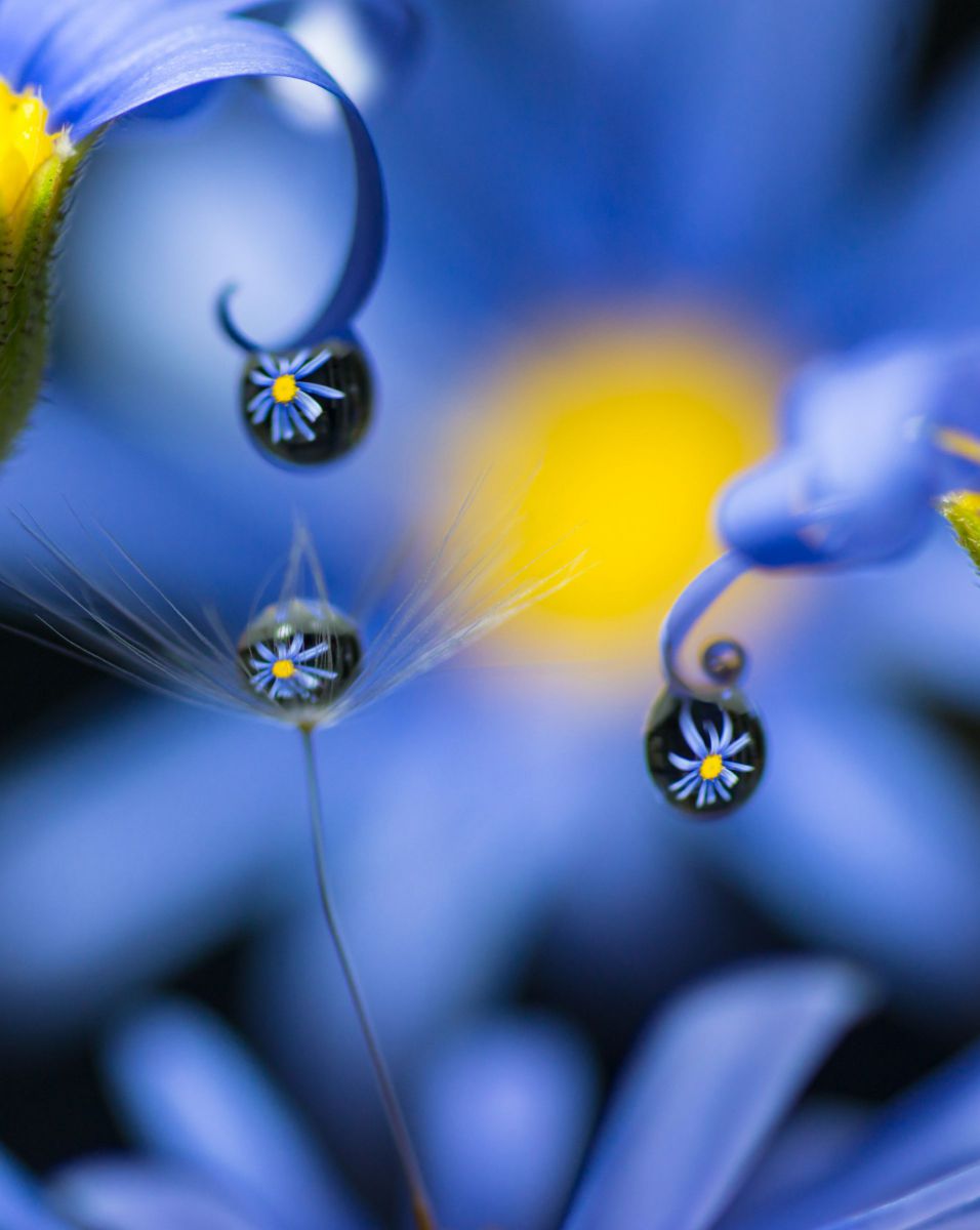 私たちは宇宙の一部 | GANREF