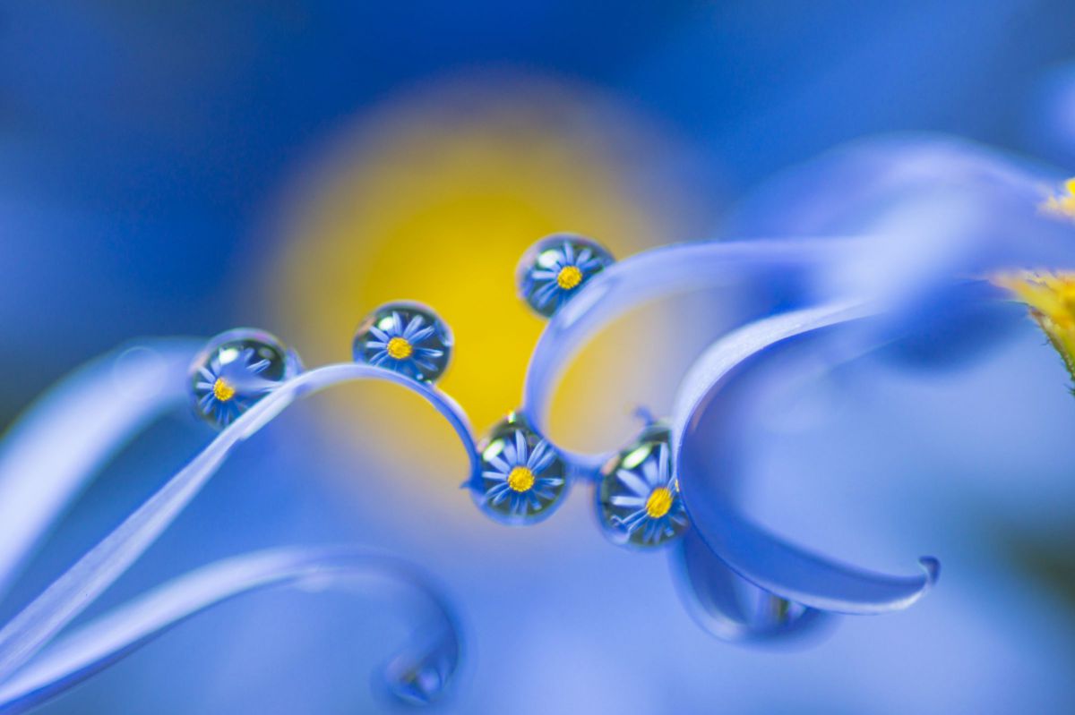 心穏やかに… | GANREF