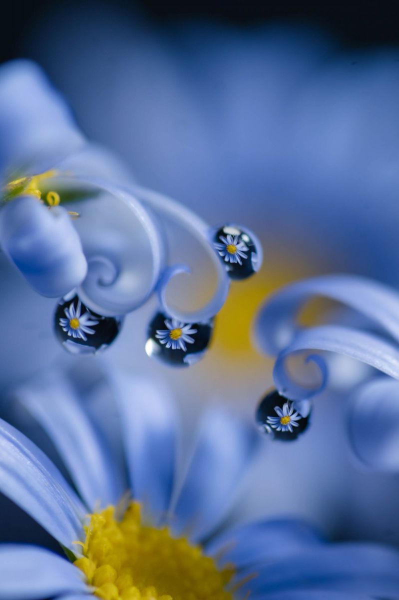 こだわりの1枚 | GANREF