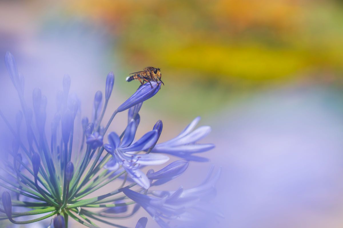 まちぶせ | GANREF