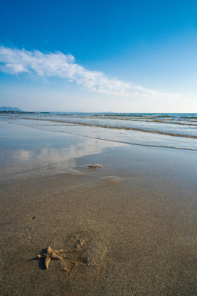 Summer coming soon | GANREF