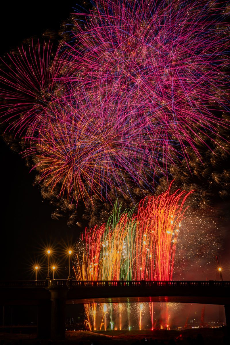 艶やかな花 | GANREF