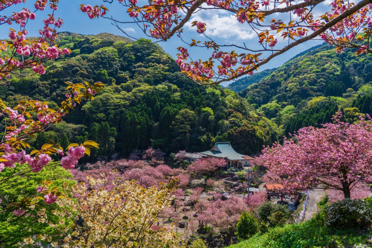 Hidden Paradise | GANREF