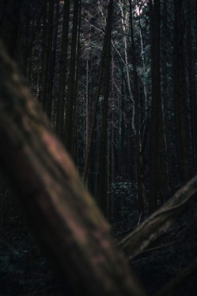 What's over there? | GANREF