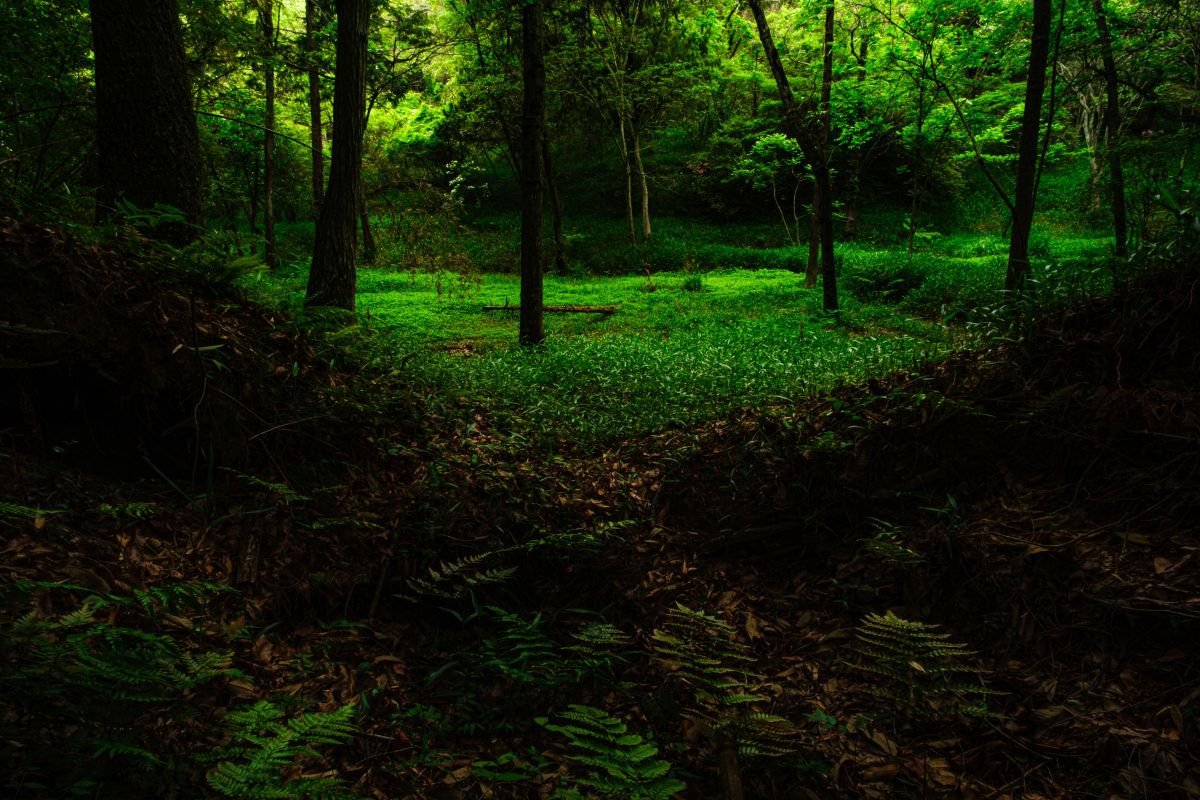 GREEN SPACE | GANREF