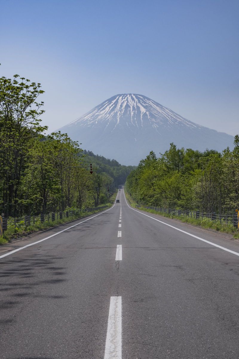 Straight go | GANREF