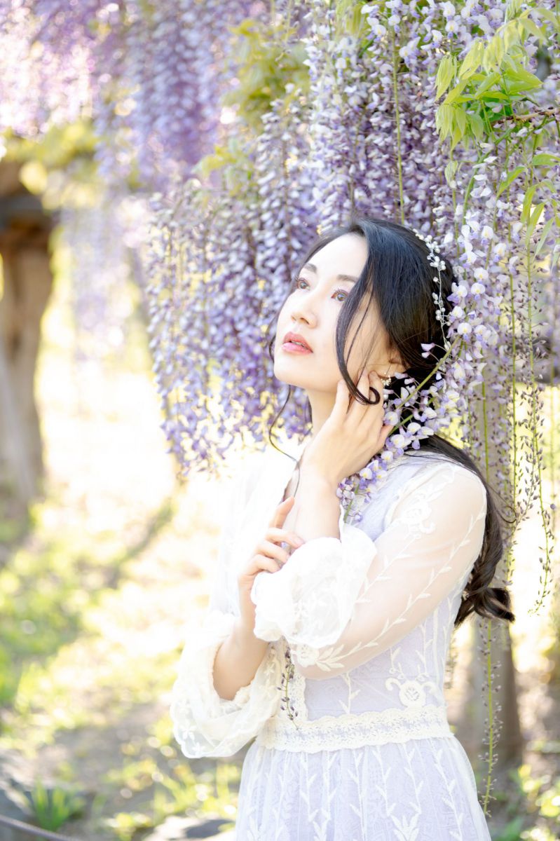 藤の花とゆりさん | GANREF