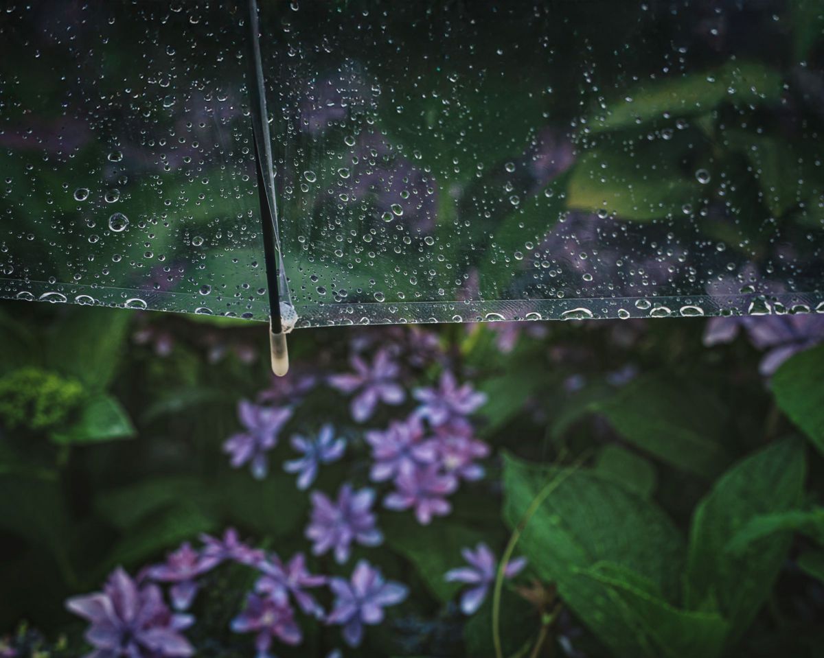 今日はよく振りました。 | GANREF