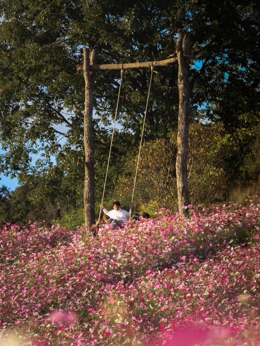 もうすぐ帰るよー | GANREF