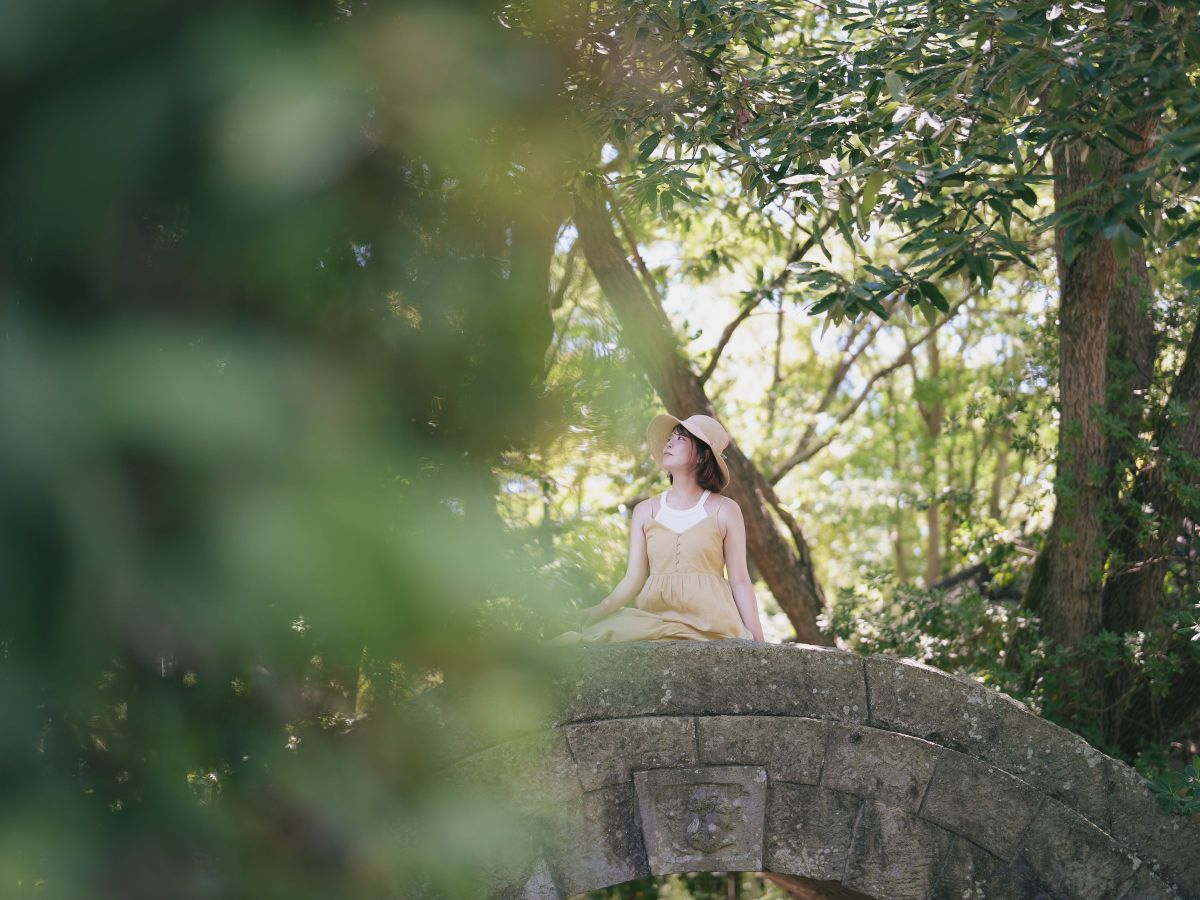 木漏れ日の中で | GANREF