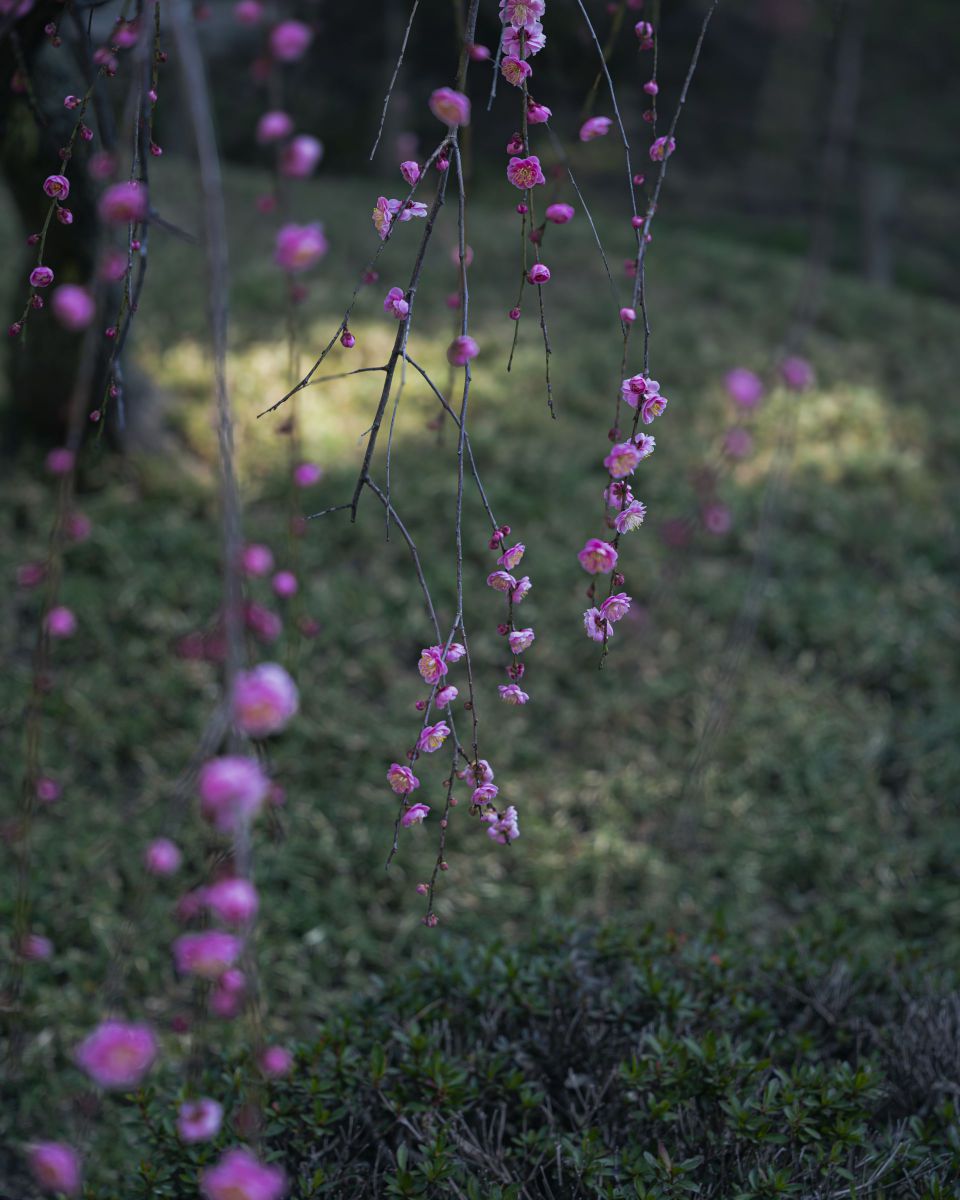 お久しぶりです。 | GANREF