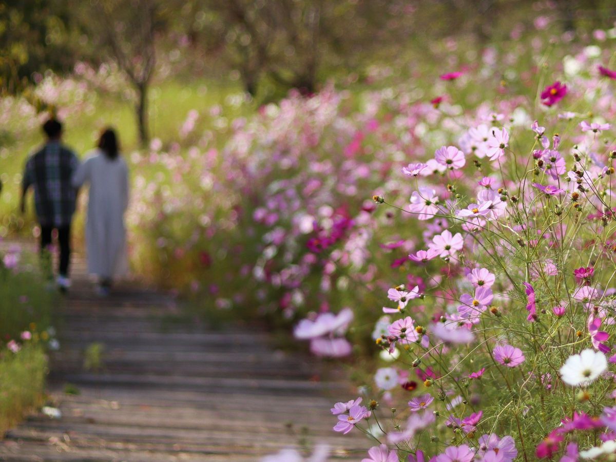 二人の思い出 | GANREF