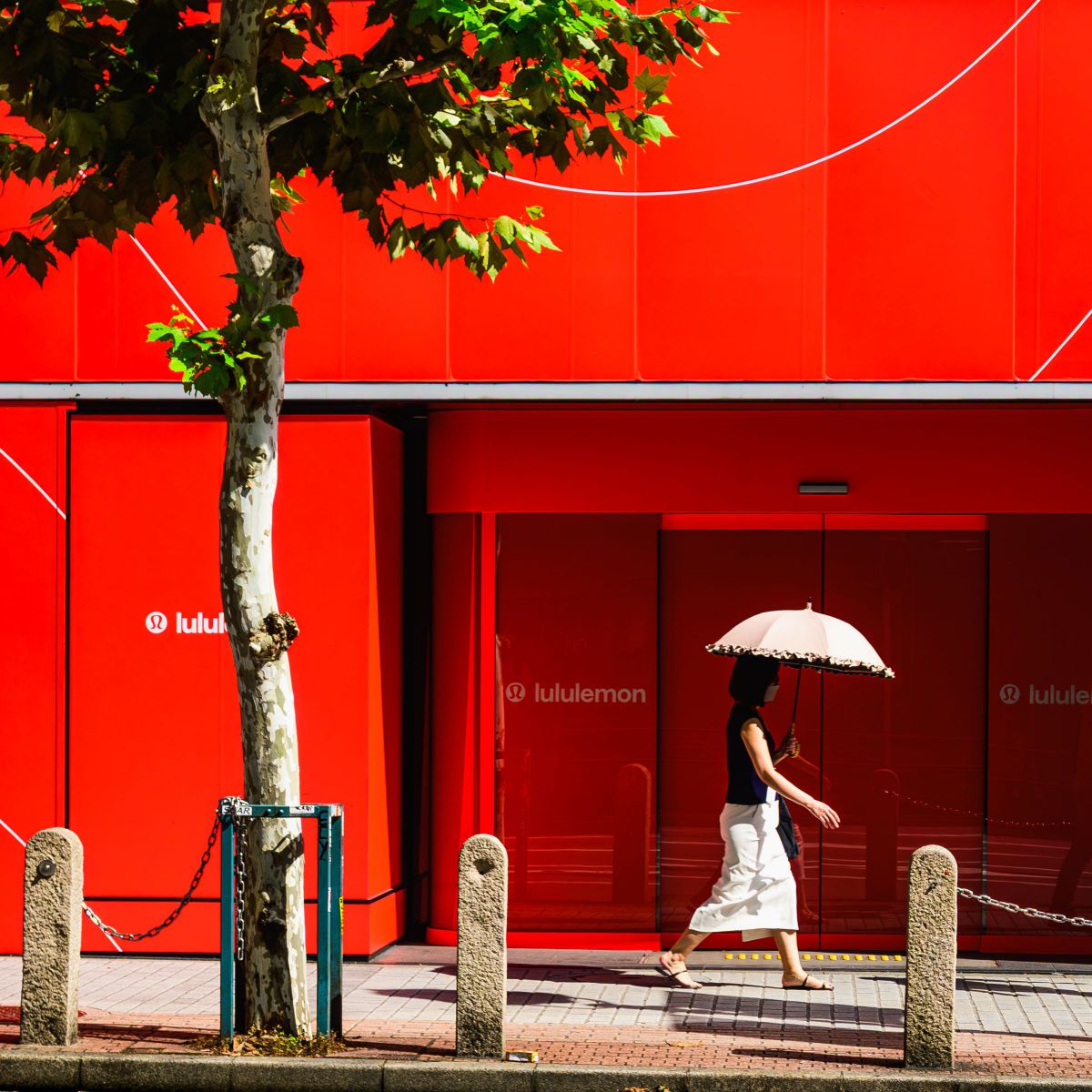 summer is coming | GANREF