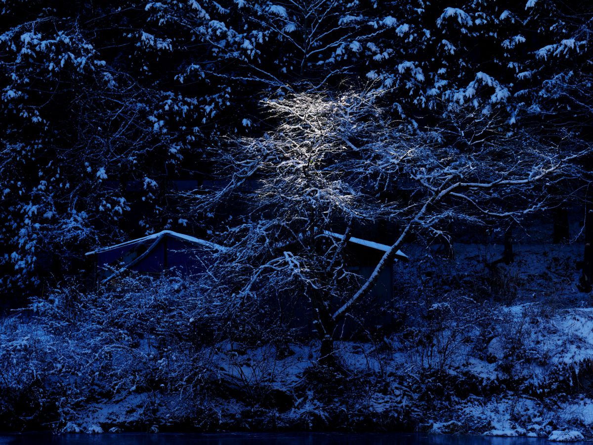 スポットライト | GANREF