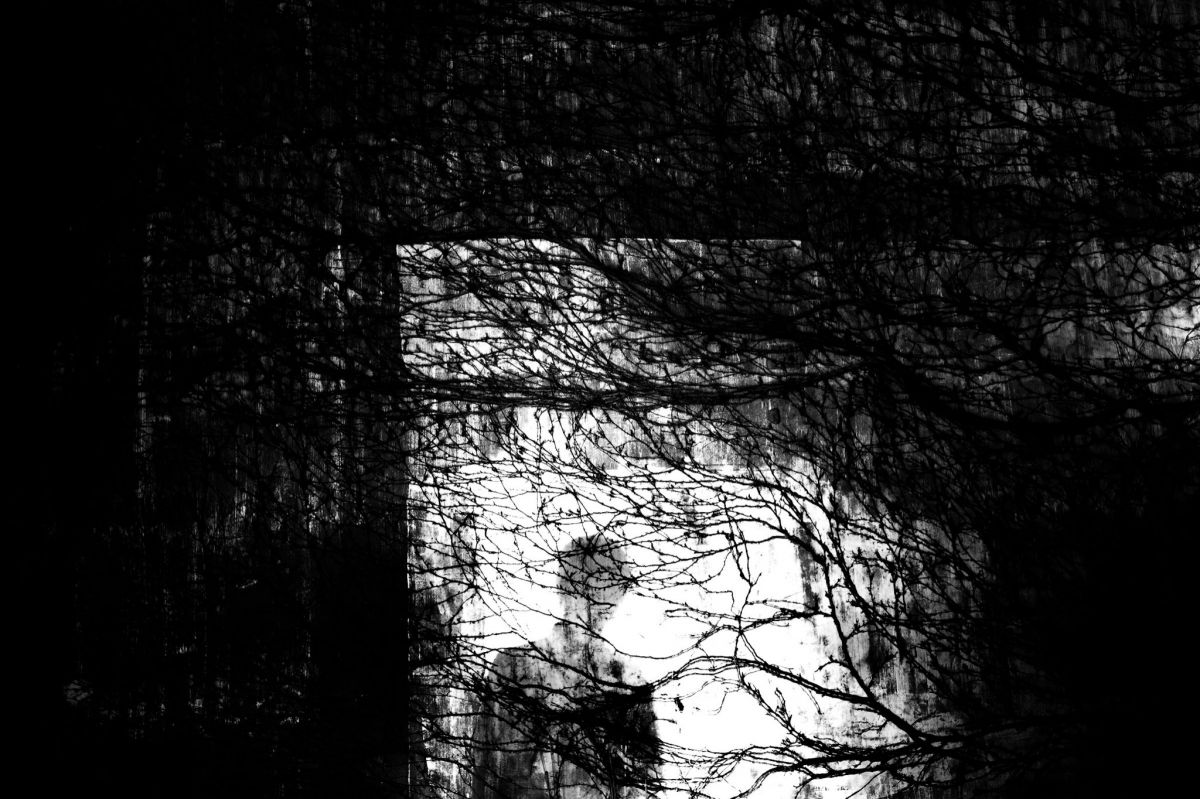 self portrait | GANREF