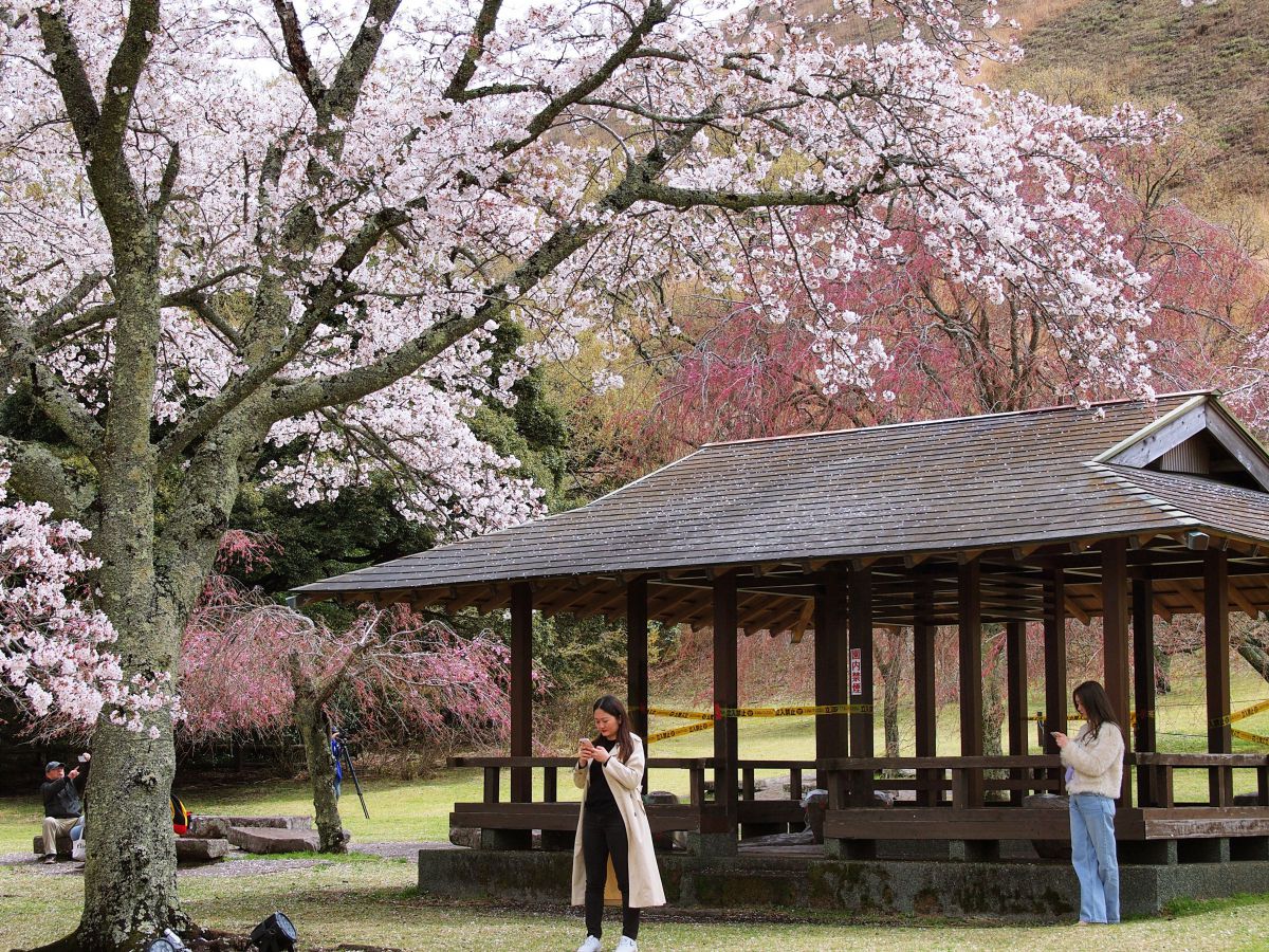 Youは何しに日本へ？ Case-D | GANREF