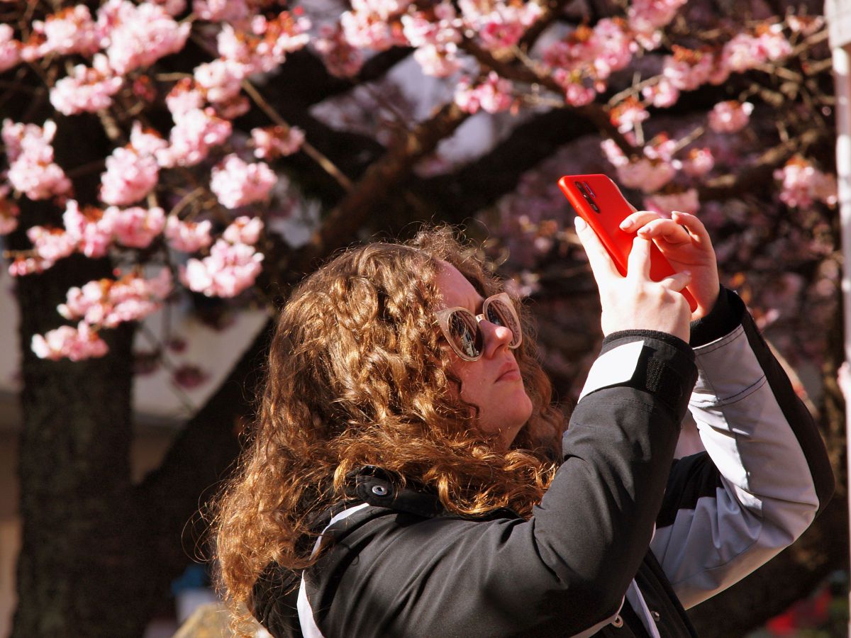 Youは何しに日本へ？ Case-A | GANREF