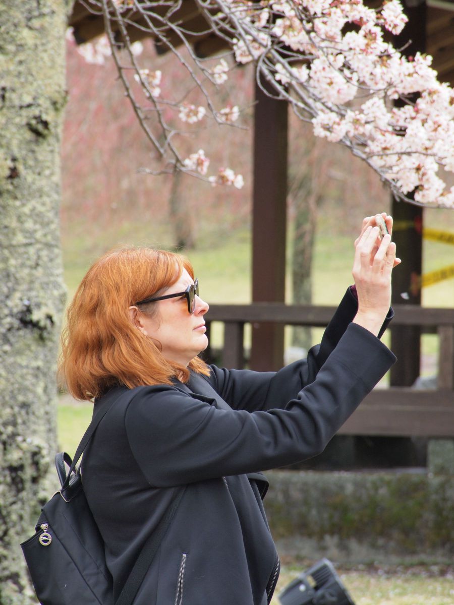 Youは何しに日本へ？ Case-C | GANREF