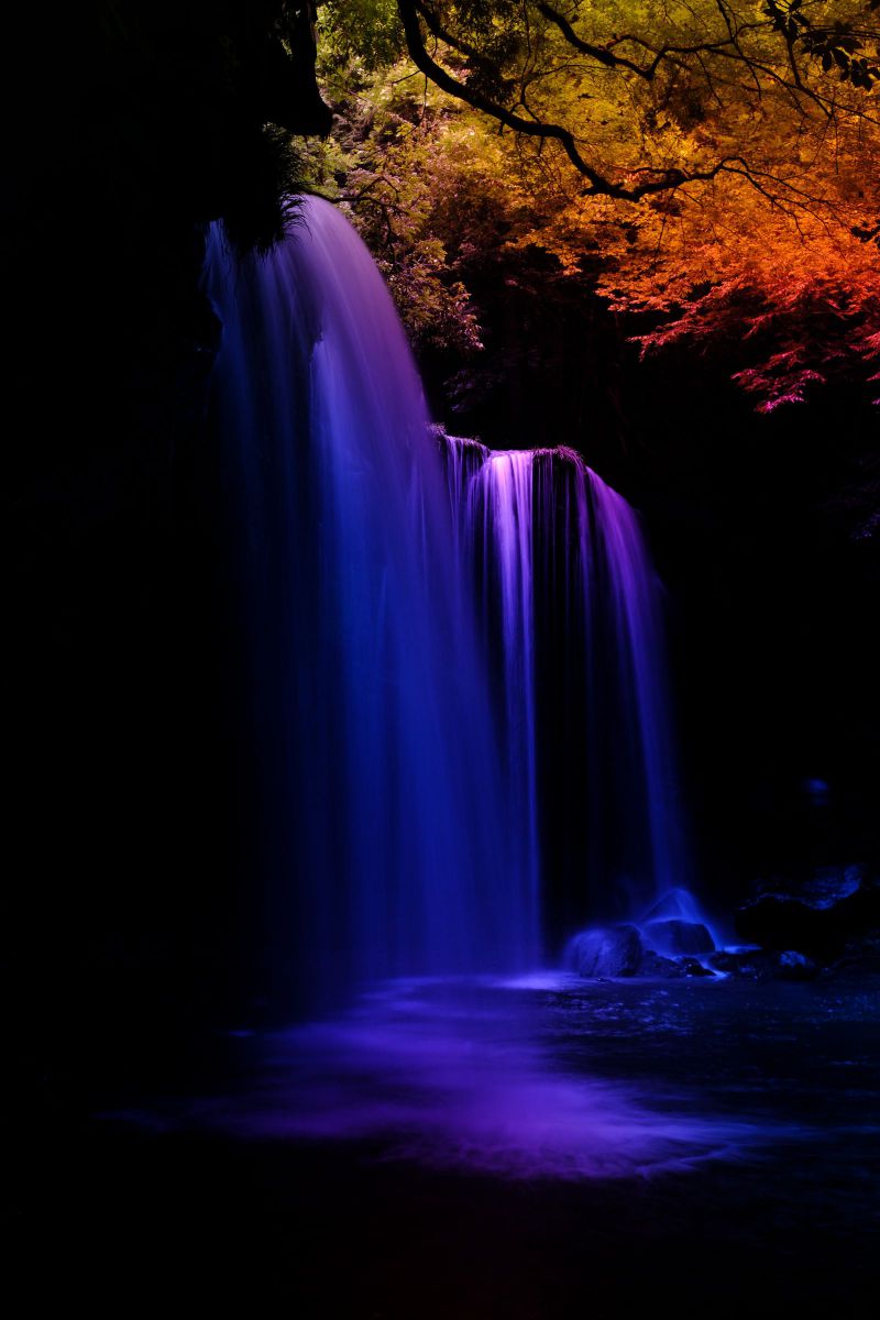 天然色の夢 III | GANREF