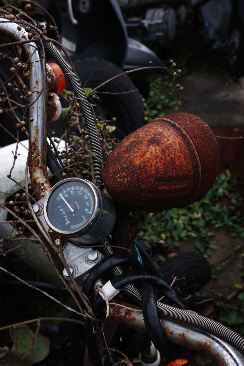 往年の輝き IV | GANREF