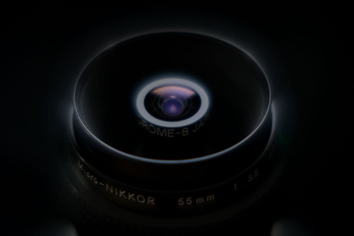 往年の輝き〜Micro-NIKKOR 55mm f3.5+魚露目8号 | GANREF